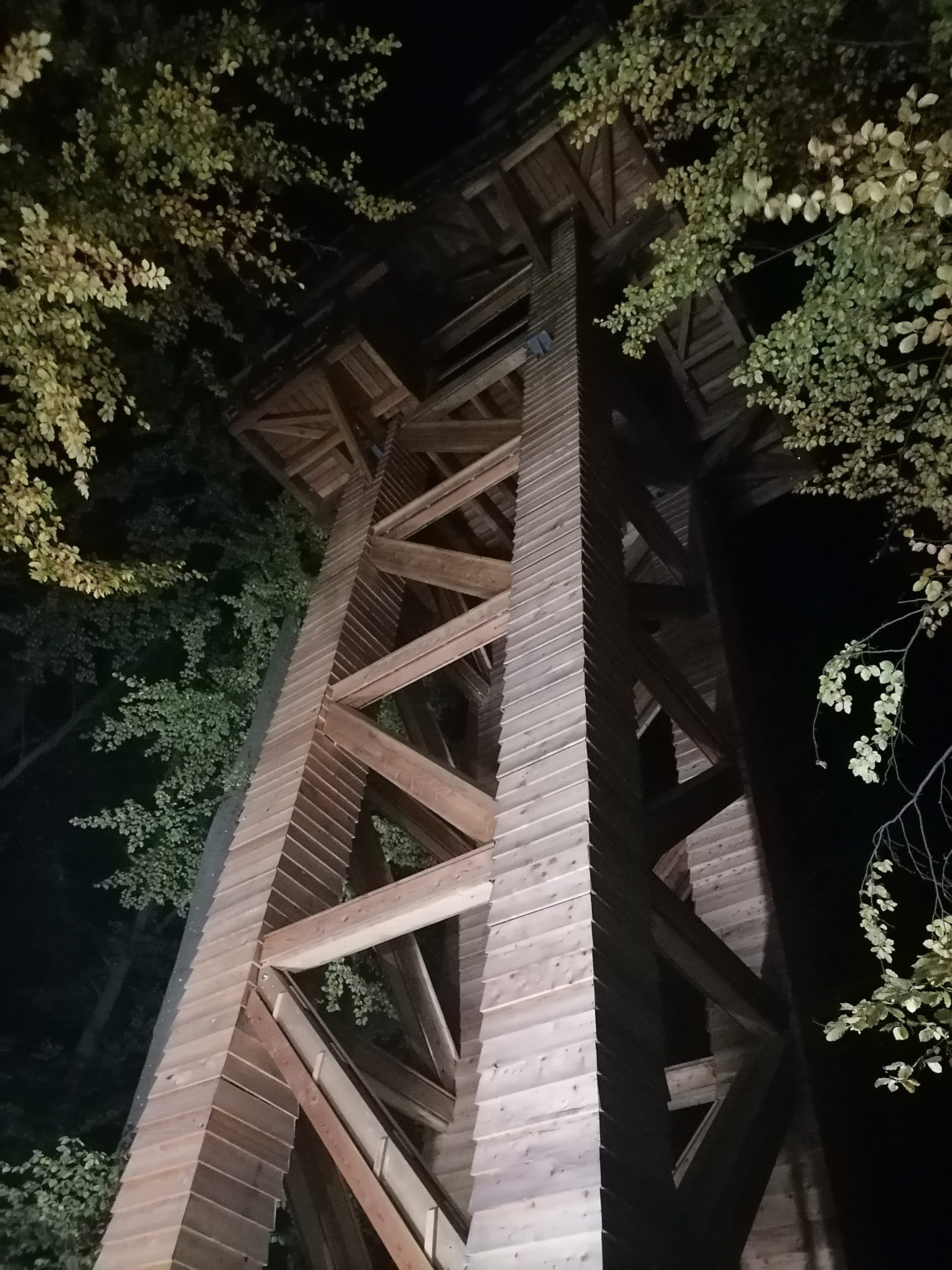 Baumwipfelweg Bad Camberg, 800 Meter lang, 28 Meter hoch