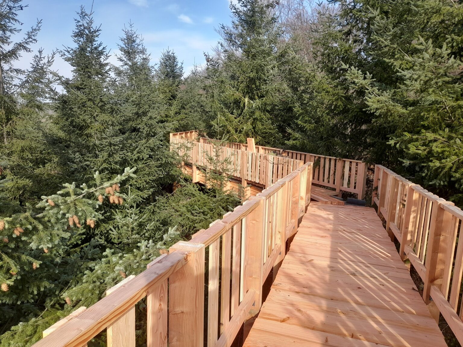 Baumwipfelweg Bad Camberg, 800 Meter lang, 28 Meter hoch