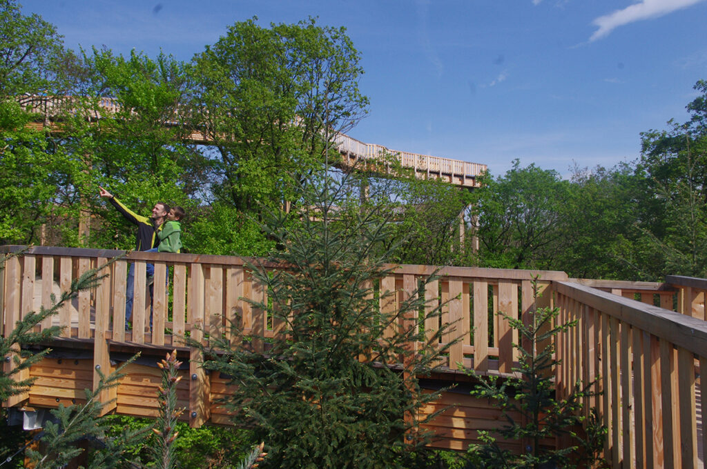 Baumwipfelweg Bad Camberg, 800 Meter lang, 28 Meter hoch
