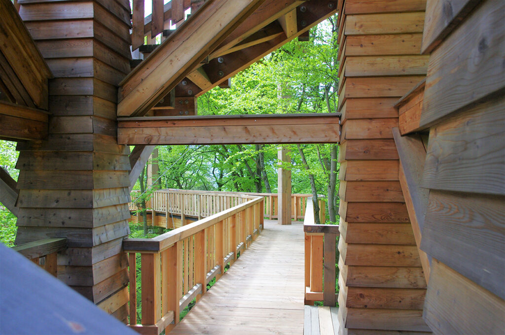 Baumwipfelweg Bad Camberg, 800 Meter lang, 28 Meter hoch